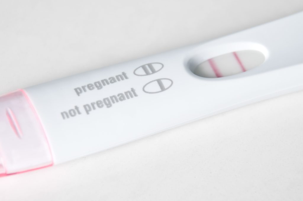 7 Free Printables For A More Organized Pregnancy Damn Good Mom