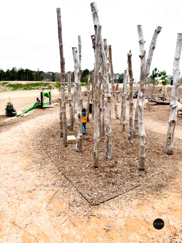 10 Reasons to Love Pleasant Park in Apex {NC} - Damn Good Mom